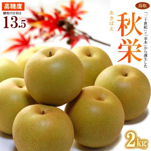 【発売日：2026年08月17日】商品名 : 秋栄梨内容量/産地 : 5-6玉(約2kg)/鳥取発送時期 : 8月中旬-下旬(指定日不可)発送形態 : ヤマト運輸 常温便送料 : 送料込(北海道・沖縄・離島地域へのお届けは追加送料1,200...