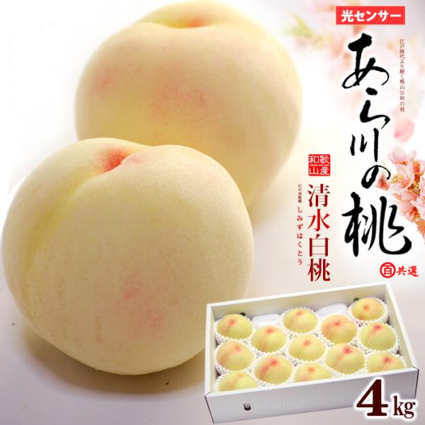【発売日：2026年07月22日】商品名 : あら川の桃 清水白桃内容量/産地 : 12玉前後(約4kg)/和歌山発送時期 : 清水白桃 7月下旬〜8月上旬(指定日不可)発送形態 : ヤマト運輸 常温便送料 : 送料込(北海道・沖縄・離島地...