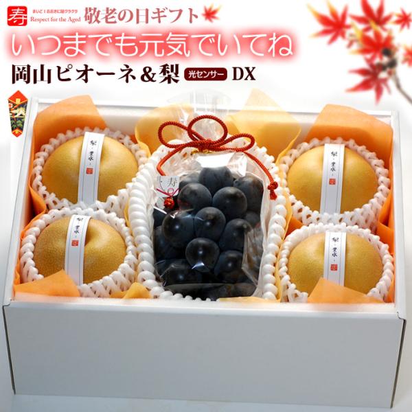 【発売日：2026年09月14日】商品名 : 岡山ピオーネ×日田の完熟梨内容量/産地 : 岡山ピオーネ×1房 豊水梨orあきづき梨×4玉/岡山、大分発送時期 : 9月15日-21日(指定日不可）発送形態 : ヤマト運輸 冷蔵便送料 : 送料...