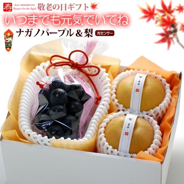 【発売日：2026年09月14日】商品名 : ナガノパープル×日田の完熟梨内容量/産地 : ナガノパープル×1房 豊水梨orあきづき梨×2玉/長野、大分発送時期 : 9月15日-21日(指定日不可）発送形態 : ヤマト運輸 冷蔵便送料 : ...