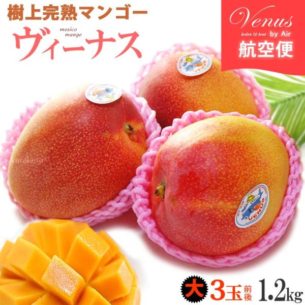 【発売日：2026年04月27日】商品名 : ヴィーナスマンゴー内容量/産地 : 2L×4玉または3L×3玉(約1.2kg)/メキシコ発送時期 : 4月末頃-7月下旬発送形態 : ヤマト運輸 常温便 送料 : 送料込(北海道・沖縄・離島地域...