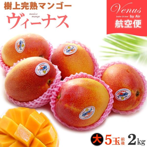 【発売日：2026年04月27日】商品名 : ヴィーナスマンゴー内容量/産地 : 2L×6玉または3L×5玉(約2kg)/メキシコ発送時期 : 4月末頃〜7月下旬発送形態 : ヤマト運輸 常温便 送料 : 送料込(北海道・沖縄・離島地域への...