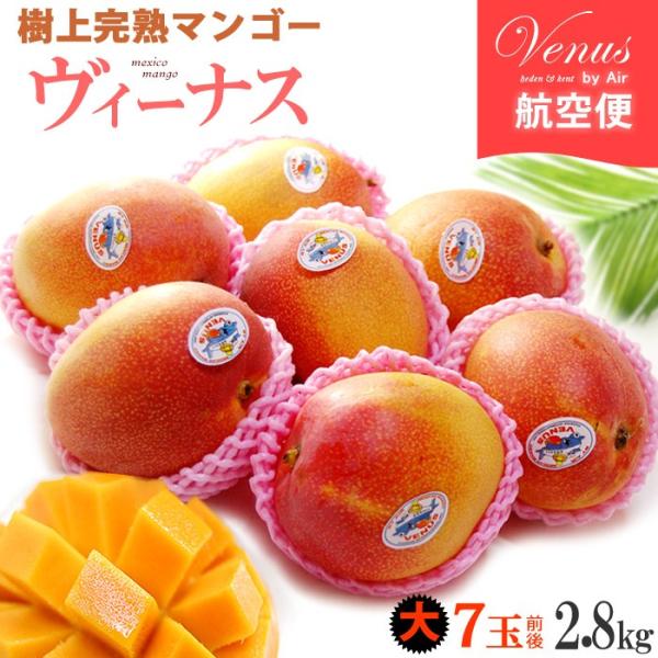 【発売日：2026年04月27日】商品名 : ヴィーナスマンゴー内容量/産地 : 2L×8玉または3L×7玉(約2.8kg)/メキシコ発送時期 : 4月末頃-7月下旬発送形態 : ヤマト運輸 常温便 送料 : 送料込(北海道・沖縄・離島地域...