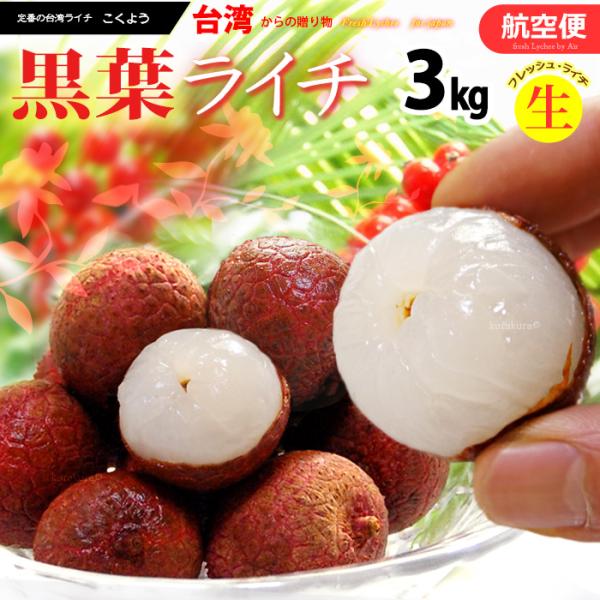 【発売日：2026年06月22日】商品名 : 黒葉ライチ内容量/産地 : 約3kg/台湾発送時期 : 6月下旬-7月上旬(指定日不可)発送形態 : ヤマト運輸 冷蔵便送料 : 送料込(北海道・沖縄・離島地域へのお届けは追加送料1,200円が必要)