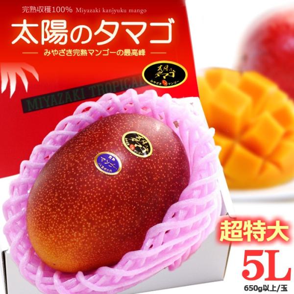 【発売日：2026年04月16日】商品名 : 太陽のタマゴ内容量/産地 : 5L×1玉(約650g以上)赤秀〜青秀/宮崎産発送時期 : 4月中旬-7月末発送形態 : ヤマト運輸 常温便 送料 : 送料込(北海道・沖縄・離島地域へのお届けは追...