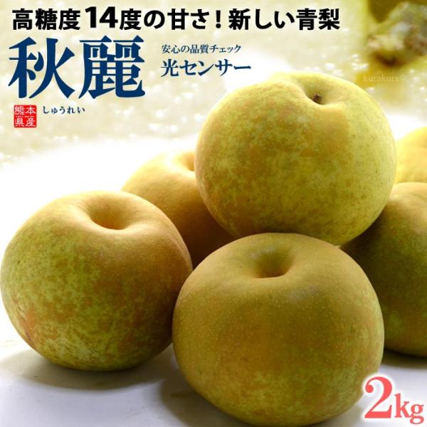 【発売日：2026年08月18日】商品名 : 秋麗梨内容量/産地 : 5-6玉(約2kg)/熊本発送時期 : 8月中旬-9月上旬(指定日不可)発送形態 : ヤマト運輸 常温便送料 : 送料込(北海道・沖縄・離島地域へのお届けは追加送料1,2...