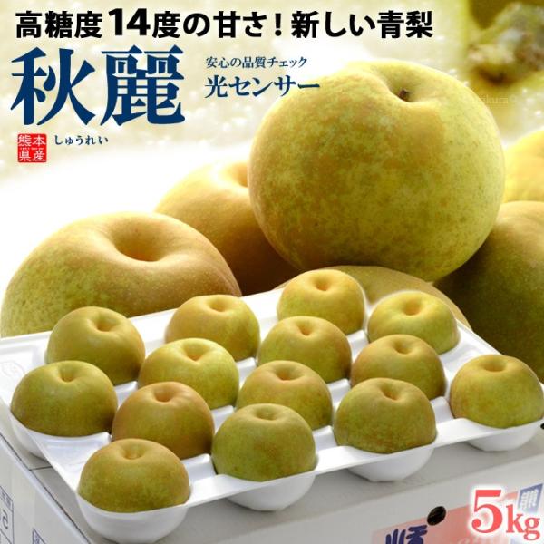【発売日：2026年08月17日】商品名 : 秋麗梨内容量/産地 : 12-14玉(約5kg)/熊本発送時期 : 8月中旬-9月上旬(指定日不可)発送形態 : ヤマト運輸 常温便送料 : 送料込(北海道・沖縄・離島地域へのお届けは追加送料1...