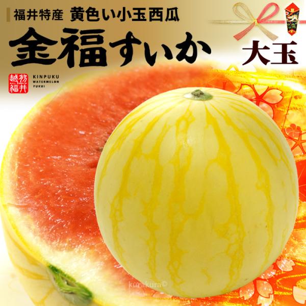【発売日：2026年06月16日】商品名 : 金福スイカ 大内容量/産地 : 1玉(約2.2kg-2.6kg前後)/福井県発送時期 : 6月中旬-7月中旬発送形態 : ヤマト運輸 常温便 送料 : 送料込(北海道・沖縄・離島地域へのお届けは...