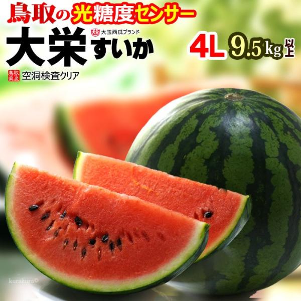 【発売日：2026年06月10日】商品名 : 大栄すいか 秀品内容量/産地 : 4L×1玉(9.5-11kg)/鳥取発送時期 : 6月中旬-7月上旬発送形態 : ヤマト運輸 常温便 送料 : 送料込(北海道・沖縄・離島地域へのお届けは追加送...