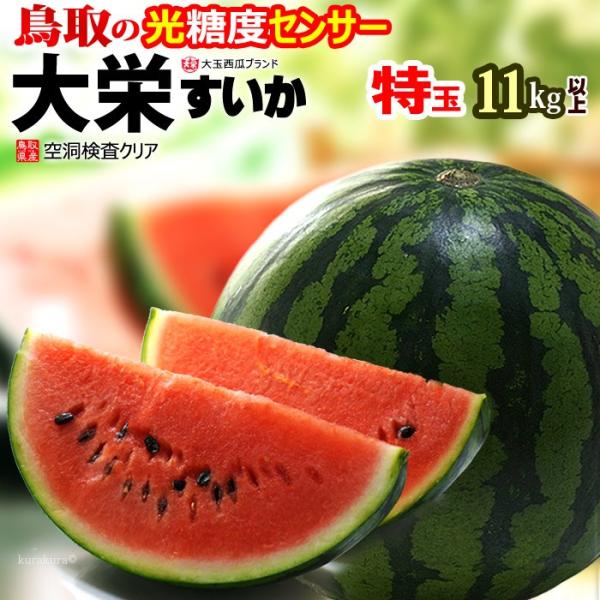 【発売日：2026年06月10日】商品名 : 大栄すいか 秀品内容量/産地 : 特×1玉(11kg以上)/鳥取発送時期 : 6月中旬-7月上旬発送形態 : ヤマト運輸 常温便 送料 : 送料込(北海道・沖縄・離島地域へのお届けは追加送料1,...