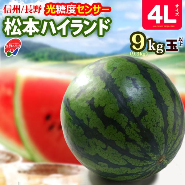 【発売日：2026年07月13日】商品名 : 松本ハイランドすいか内容量/産地 : 4L×1玉(9.3-11kg)/長野発送時期 : 7月中旬-8月中旬(指定日不可)発送形態 : ヤマト運輸 常温便送料 : 送料込(北海道・沖縄・離島地域へ...