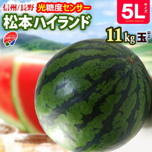 【発売日：2026年07月13日】商品名 : 松本ハイランドすいか内容量/産地 : 5L×1玉(11-13.5kg)/長野発送時期 : 7月中旬-8月中旬(指定日不可)発送形態 : ヤマト運輸 常温便送料 : 送料込(北海道・沖縄・離島地域...