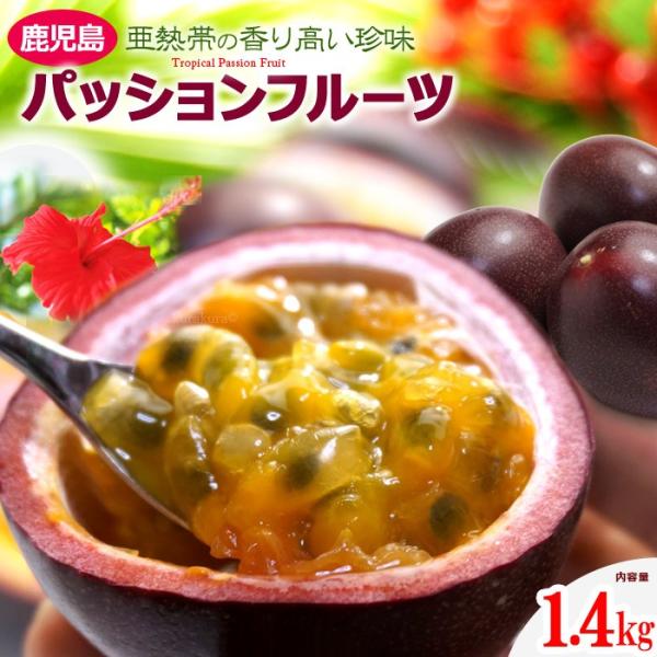【発売日：2026年06月22日】商品名 : パッションフルーツ内容量/産地 : 14-20玉(約1.4kg)/鹿児島産発送時期 : 6月下旬-8月下旬発送形態 : ヤマト運輸 常温便送料 : 送料込(北海道・沖縄・離島地域へのお届けは追加...