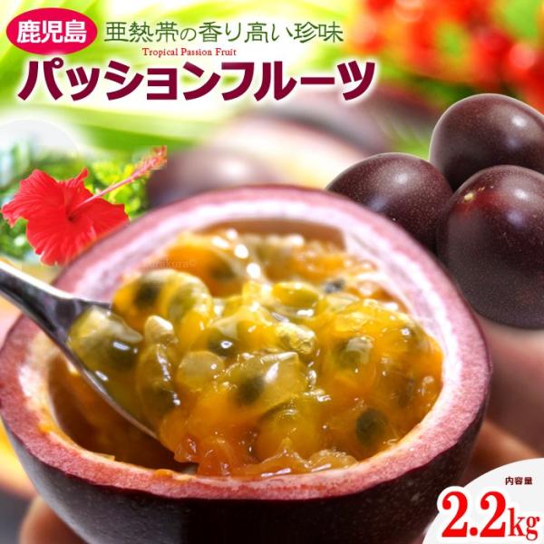 【発売日：2026年06月22日】商品名 : パッションフルーツ内容量/産地 : 22-30玉(約2.2kg)/鹿児島産発送時期 : 6月下旬-8月下旬発送形態 : ヤマト運輸 常温便送料 : 送料込(北海道・沖縄・離島地域へのお届けは追加...