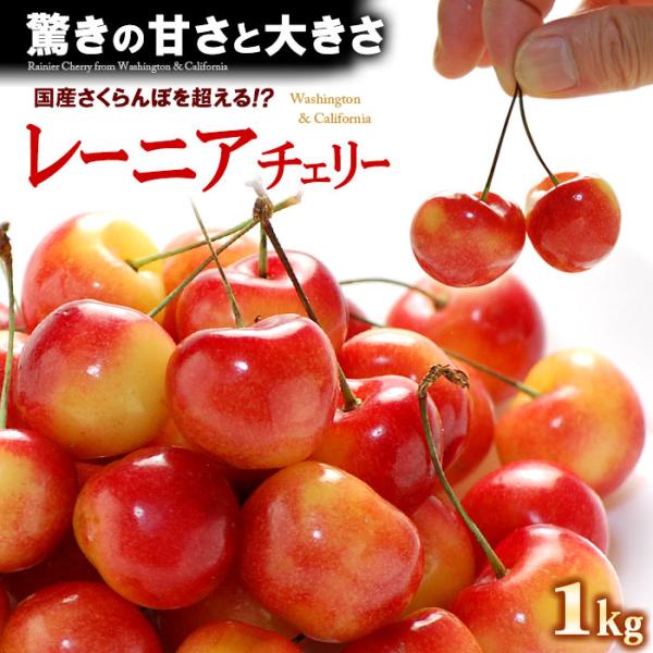【発売日：2026年07月10日】商品名 : レーニア GEE WHIZ(ジーウィズ)内容量/産地 : 約1kg/アメリカ ワシントン州オービル農園発送時期 : ■ご予約の受付は6月20日頃まで7月上旬〜中旬頃に入荷＆発送となります。発送形...
