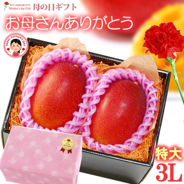 【発売日：2026年05月05日】商品名 : 宮崎マンゴー内容量/産地 : 3L×2玉(約900g以上)赤秀〜青秀/宮崎発送時期 : 5月5日〜10日にお届け(ご注文順)発送形態 : ヤマト運輸 常温便 送料 : 送料込(北海道・沖縄・離島...