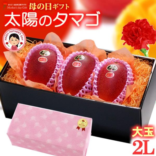 【発売日：2026年05月05日】商品名 : 太陽のタマゴ内容量/産地 : 2L×3玉(計 約1000g)赤秀〜青秀/宮崎発送時期 : 5月5日〜10日にお届け(ご注文順)発送形態 : ヤマト運輸 常温便 送料 : 送料込(北海道・沖縄・離...