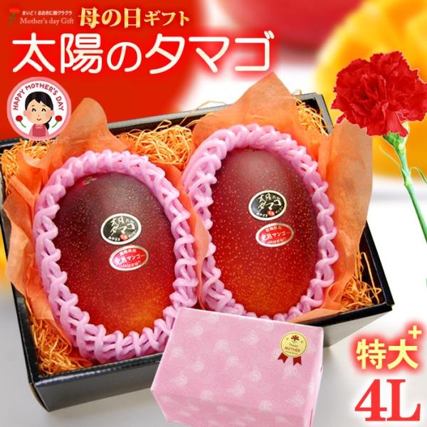 【発売日：2026年05月05日】商品名 : 太陽のタマゴ内容量/産地 : 4L×2玉(約1020g以上)赤秀〜青秀/宮崎発送時期 : 5月5日〜10日にお届け(ご注文順)発送形態 : ヤマト運輸 常温便 送料 : 送料込(北海道・沖縄・離...