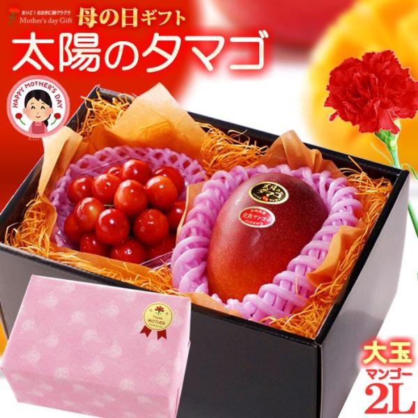 【発売日：2026年05月05日】商品名 : 太陽のタマゴ/さくらんぼ佐藤錦内容量 : マンゴー/2L×1玉(約350g以上)赤秀〜青秀、さくらんぼ/M玉×約100g産地 : マンゴー/宮崎、さくらんぼ/山形発送時期 : 5月5日〜10日に...