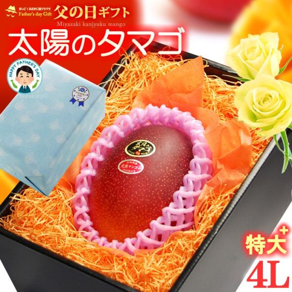 【発売日：2026年06月16日】商品名 : 太陽のタマゴ内容量/産地 : 4Lサイズ×1玉(約510g以上)赤秀〜青秀/宮崎発送時期 : 6月16日〜21日お届け(指定日不可)発送形態 : ヤマト運輸 常温便送料 : 送料込(北海道・沖縄...