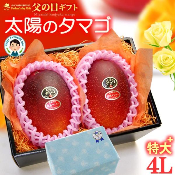 【発売日：2026年06月16日】商品名 : 太陽のタマゴ内容量/産地 : 4Lサイズ×2玉(約1020g以上)赤秀〜青秀/宮崎発送時期 : 6月16日〜21日お届け(指定日不可)発送形態 : ヤマト運輸 常温便送料 : 送料込(北海道・沖...