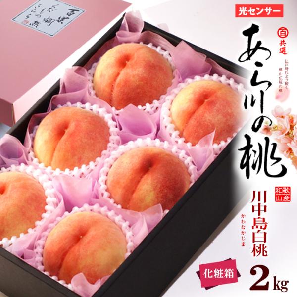 【発売日：2026年07月28日】商品名 : あら川の桃 川中島白桃内容量/産地 : 6玉(約2kg)/和歌山発送時期 : 川中島白桃→7月下旬-8月中旬(指定日不可)発送形態 : ヤマト運輸 常温便送料 : 送料込(北海道・沖縄・離島地域...