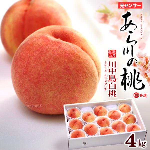 【発売日：2026年07月27日】商品名 : あら川の桃 川中島白桃内容量/産地 : 12玉前後(約4kg)/和歌山発送時期 : 川中島白桃→7月下旬-8月中旬(指定日不可)発送形態 : ヤマト運輸 常温便送料 : 送料込(北海道・沖縄・離...