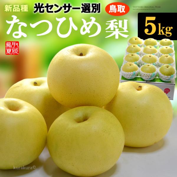 【発売日：2026年08月21日】商品名 : なつひめ内容量/産地 : 12-14玉(約5kg)/鳥取発送時期 : 8月下旬-9月中旬(指定日不可)発送形態 : ヤマト運輸 常温便送料 : 送料込(北海道・沖縄・離島地域へのお届けは追加送料...