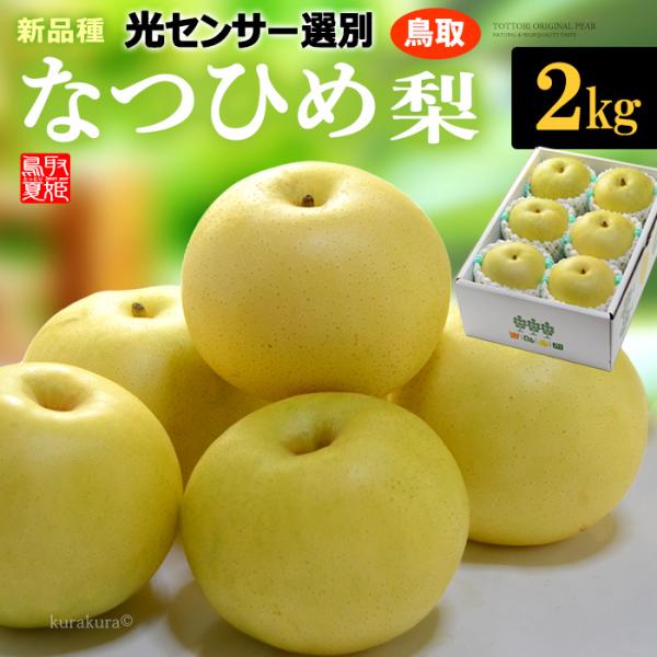 【発売日：2026年08月21日】商品名 : なつひめ内容量/産地 : 5-6玉(約2kg)/鳥取発送時期 : 8月下旬-9月中旬(指定日不可)発送形態 : ヤマト運輸 常温便送料 : 送料込(北海道・沖縄・離島地域へのお届けは追加送料1,...