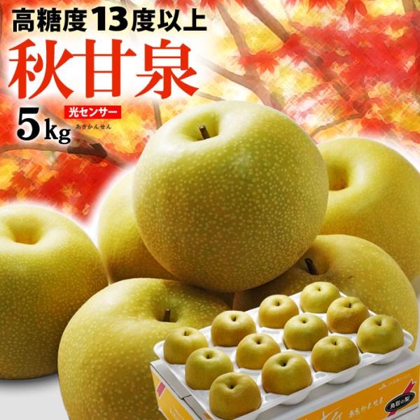 【発売日：2026年09月03日】商品名 : 秋甘泉梨　赤秀内容量/産地 : 12-14玉(約5kg)/鳥取発送時期 : 9月中旬-下旬(指定日不可)発送形態 : ヤマト運輸 常温便送料 : 送料込(北海道・沖縄・離島地域へのお届けは追加送...