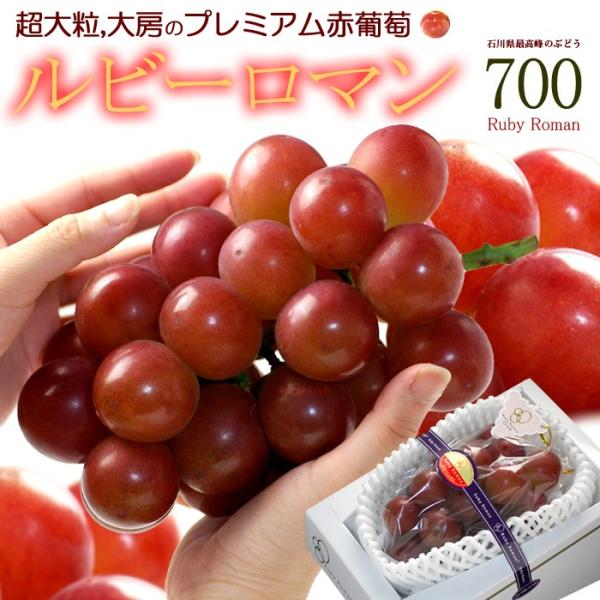 【発売日：2026年08月17日】商品名 : ルビーロマン内容量/産地 : 1房(約700g)/石川発送時期 : 8月中旬-9月上旬(指定日不可)発送形態 : ヤマト運輸 冷蔵便送料 : 送料込(北海道・沖縄・離島地域へのお届けは追加送料1...