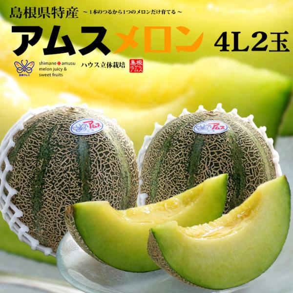【発売日：2026年06月16日】商品名 : アムスメロン内容量/産地 : 4L×2玉(約2.5kg前後)/島根発送時期 : 6月中旬-7月上旬(指定日不可)発送形態 : ヤマト運輸 常温便送料 : 送料込(北海道・沖縄・離島地域へのお届け...