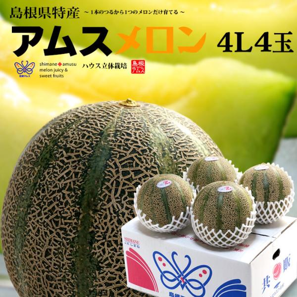【発売日：2026年06月16日】商品名 : アムスメロン内容量/産地 : 4L×4玉(約5kg前後)/島根発送時期 : 6月中旬-7月上旬(指定日不可)発送形態 : ヤマト運輸 常温便送料 : 送料込(北海道・沖縄・離島地域へのお届けは追...