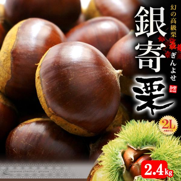 【発売日：2026年09月25日】商品名 : 銀寄栗(ぎんよせくり)内容量/産地 : 2L 約2.4kg/主に愛媛・熊本産発送時期 : 9月末頃-10月中旬（指定日不可）発送形態 : ヤマト運輸 冷蔵便送料 : 送料込(北海道・沖縄・離島地...