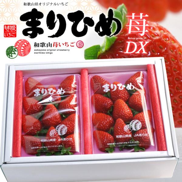 【発売日：2026年01月23日】商品名 : まりひめいちご内容量/産地 : 化粧箱 約300g×2パック/和歌山発送時期 : 1月末頃〜5月中旬発送形態 : ヤマト運輸 冷蔵便 送料 : 送料込(北海道・沖縄・離島地域へのお届けは追加送料...