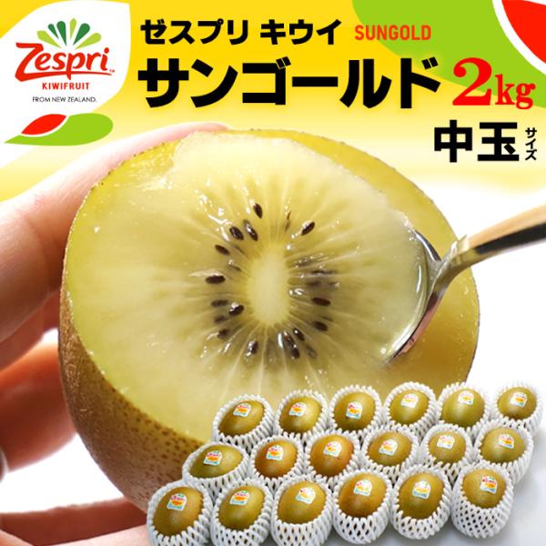 【発売日：2026年04月10日】商品名 : ゼスプリ サンゴールドキウイ内容量/産地 : 中玉 15玉-18玉前後(約2kg)/ニュージーランド産発送時期 : 4月中旬-10月下旬発送形態 : ヤマト運輸 常温便 送料 : 送料込(北海道...