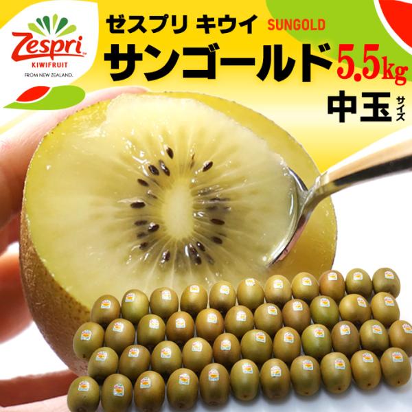 【発売日：2026年04月10日】商品名 : ゼスプリ サンゴールドキウイ内容量/産地 : 中玉 41玉-44玉前後(約5.5kg)/ニュージーランド産発送時期 : 4月中旬-10月下旬発送形態 : ヤマト運輸 常温便 送料 : 送料込(北...