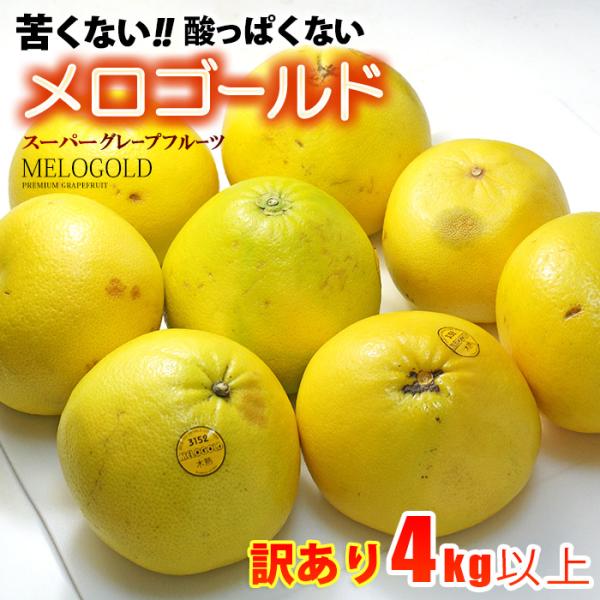【発売日：2026年01月31日】商品名 : 訳ありご家庭用メロゴールド内容量/産地 : フルーツ段ボール 4kg以上(5〜9玉)/アメリカ発送時期 : 1月6日頃〜3月中旬発送形態 : ヤマト運輸 常温便 送料 : 送料込(北海道・沖縄・...