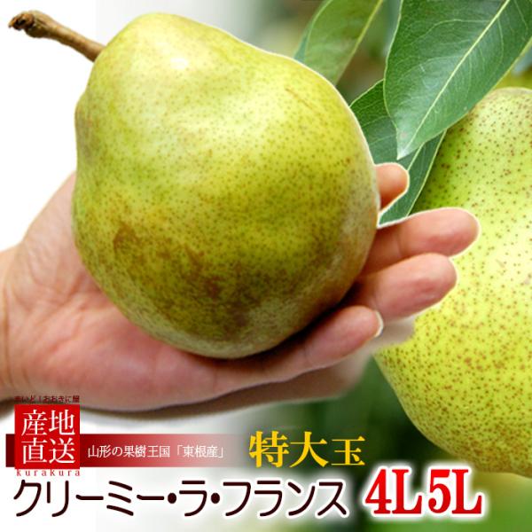 【発売日：2026年11月16日】商品名 : ラフランス内容量/産地 : 4L-5L(約2kg)/山形発送時期 : 11月中旬-12月下旬(指定日不可)発送形態 : ヤマト運輸 常温便送料 : 送料込(北海道・沖縄・離島地域へのお届けは追加...