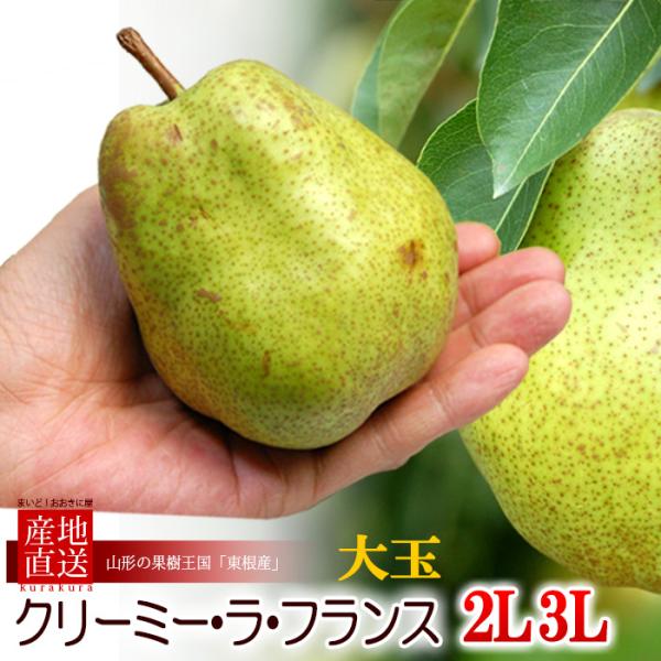【発売日：2026年11月16日】商品名 : ラフランス内容量/産地 : 2L-3L(約3kg)/山形発送時期 : 11月中旬-12月下旬(指定日不可)発送形態 : ヤマト運輸 常温便送料 : 送料込(北海道・沖縄・離島地域へのお届けは追加...