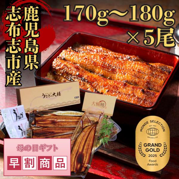 ※以下を確認の上でご購入願います※・「母の日先行予約割商品」となりますので5/1(金)以降発送になります。・母の日指定での到着はお約束でき兼ねますので予めご了承ください。▼商品情報商品名：大楠うなぎの蒲焼産地：国産（鹿児島県志布志市）容量：...