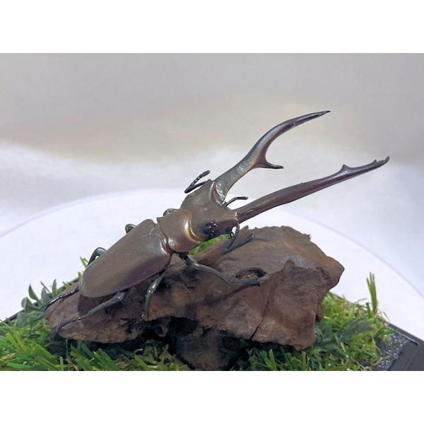 ◎ジオラマ標本製作の工夫と特徴１．ジオラマ標本は独自の技術で付加価値の高い工芸品的な位置付けで製作しています。２．ジオラマ標本はキャッチコピー「生きているかのように今にも動き出すかのようなリアル感」３．キャッチコピーは自然の中で生きていたと...