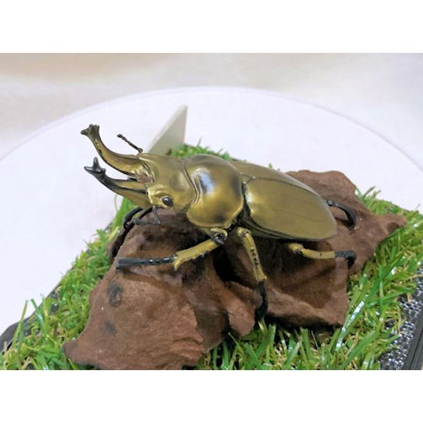 ◎ジオラマ標本製作の工夫と特徴１．ジオラマ標本は独自の技術で付加価値の高い工芸品的な位置付けで製作しています。２．ジオラマ標本はキャッチコピー「生きているかのように今にも動き出すかのようなリアル感」３．キャッチコピーは自然の中で生きていたと...