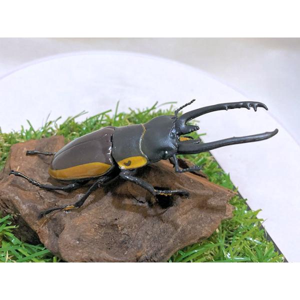 ◎ジオラマ標本製作の工夫と特徴１．ジオラマ標本は独自の技術で付加価値の高い工芸品的な位置付けで製作しています。２．ジオラマ標本はキャッチコピー「生きているかのように今にも動き出すかのようなリアル感」３．キャッチコピーは自然の中で生きていたと...