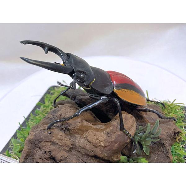 ◎ジオラマ標本製作の工夫と特徴１．ジオラマ標本は独自の技術で付加価値の高い工芸品的な位置付けで製作しています。２．ジオラマ標本はキャッチコピー「生きているかのように今にも動き出すかのようなリアル感」３．キャッチコピーは自然の中で生きていたと...