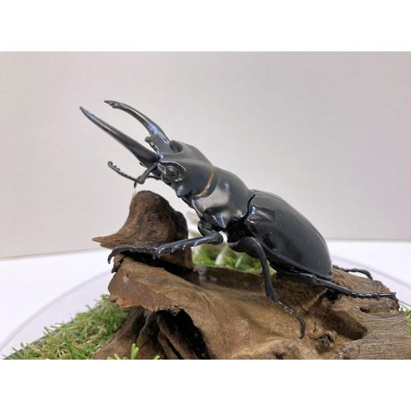 ◎ジオラマ標本製作の工夫と特徴１．ジオラマ標本は独自の技術で付加価値の高い工芸品的な位置付けで製作しています。２．ジオラマ標本はキャッチコピー「生きているかのように今にも動き出すかのようなリアル感」３．キャッチコピーは自然の中で生きていたと...