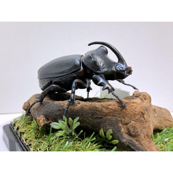 ◎ジオラマ標本製作の工夫と特徴１．ジオラマ標本は独自の技術で付加価値の高い工芸品的な位置付けで製作しています。２．ジオラマ標本はキャッチコピー「生きているかのように今にも動き出すかのようなリアル感」３．キャッチコピーは自然の中で生きていたと...