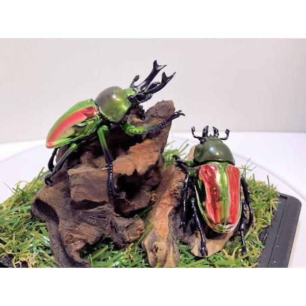 ◎ジオラマ標本製作の工夫と特徴１．ジオラマ標本は独自の技術で付加価値の高い工芸品的な位置付けで製作しています。２．ジオラマ標本はキャッチコピー「生きているかのように今にも動き出すかのようなリアル感」３．キャッチコピーは自然の中で生きていたと...