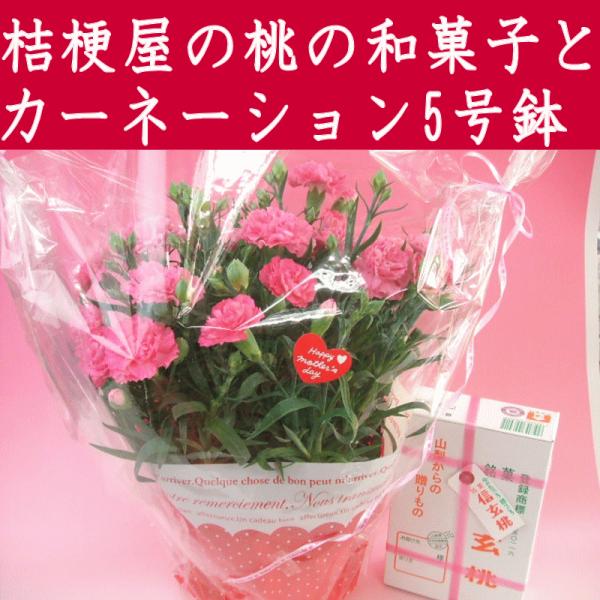 カーネーションの鉢植え（5号鉢）と信玄桃6個入りをラッピングして化粧箱に入れてお届けいたします。<BR>ご希望でメッセージカードをお付けします。<BR>この商品は同梱できません。お花の色は赤かピンクです。