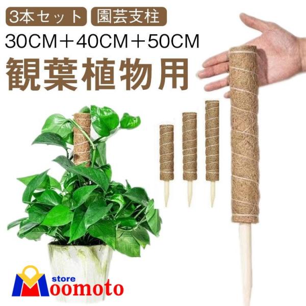 30cm＋40cm＋50cm
